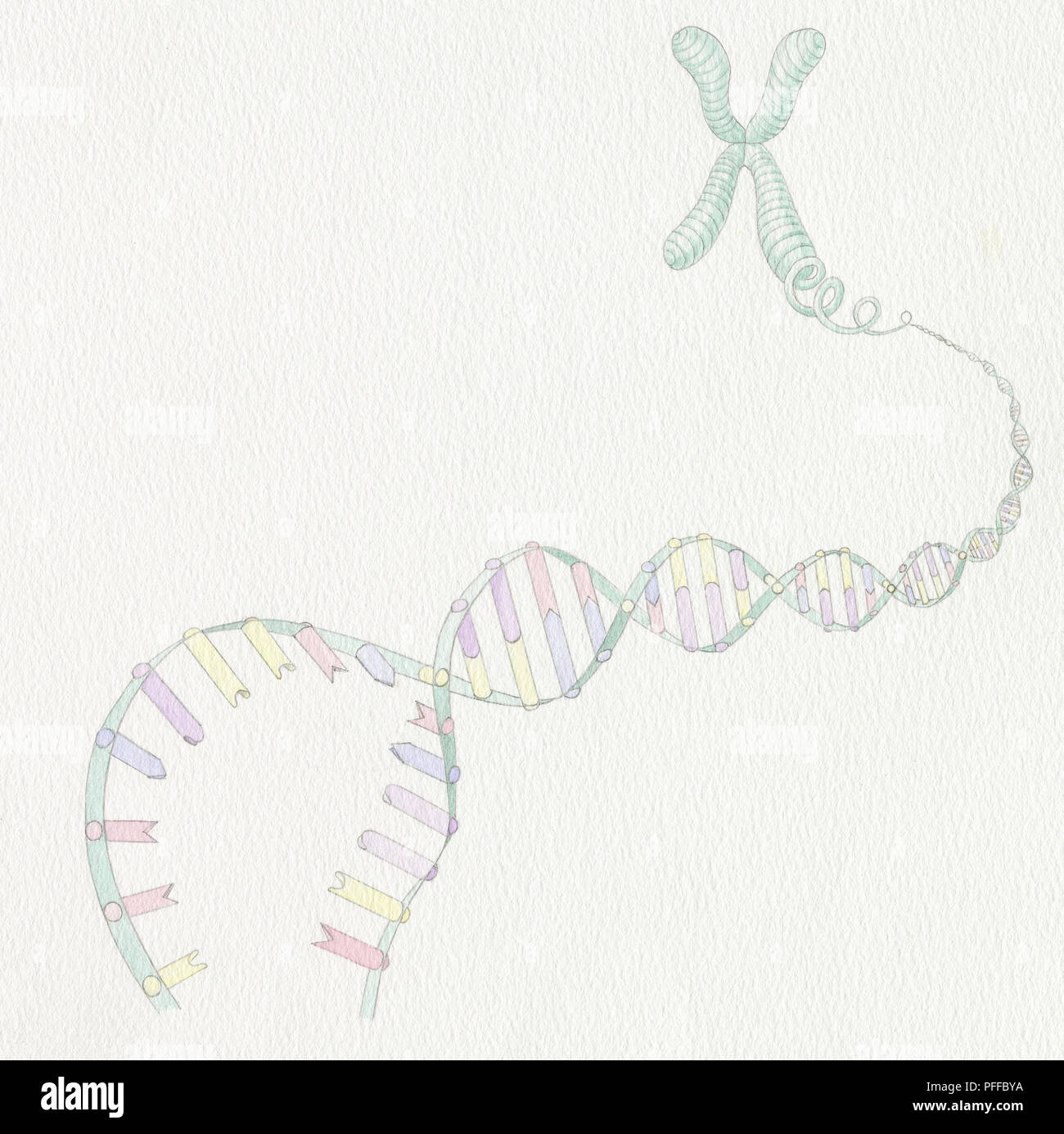Artwork of DNA structure Stock Photo - Alamy
