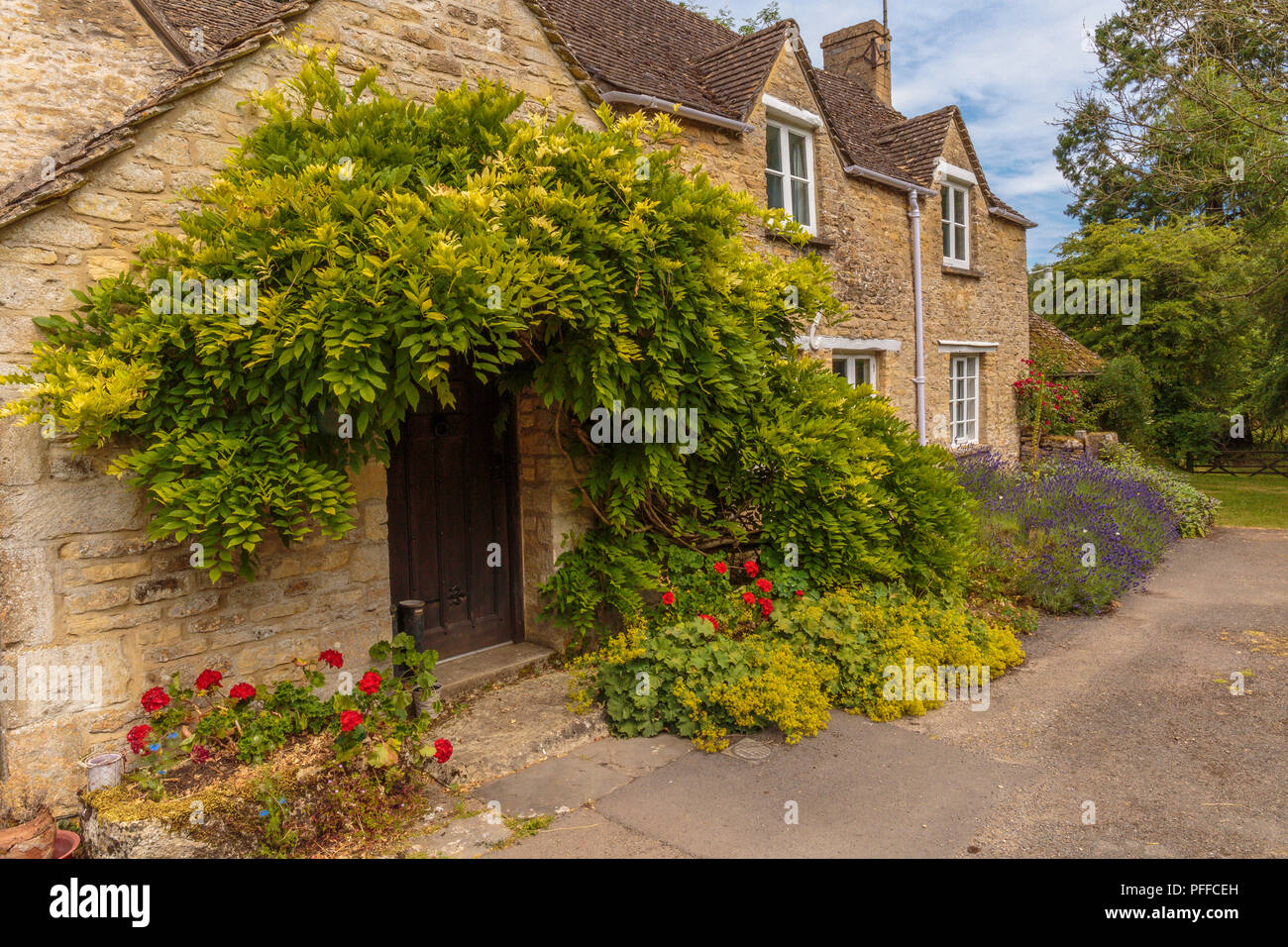 Fern covered cottage int he Cotswolds Stock Photo - Alamy