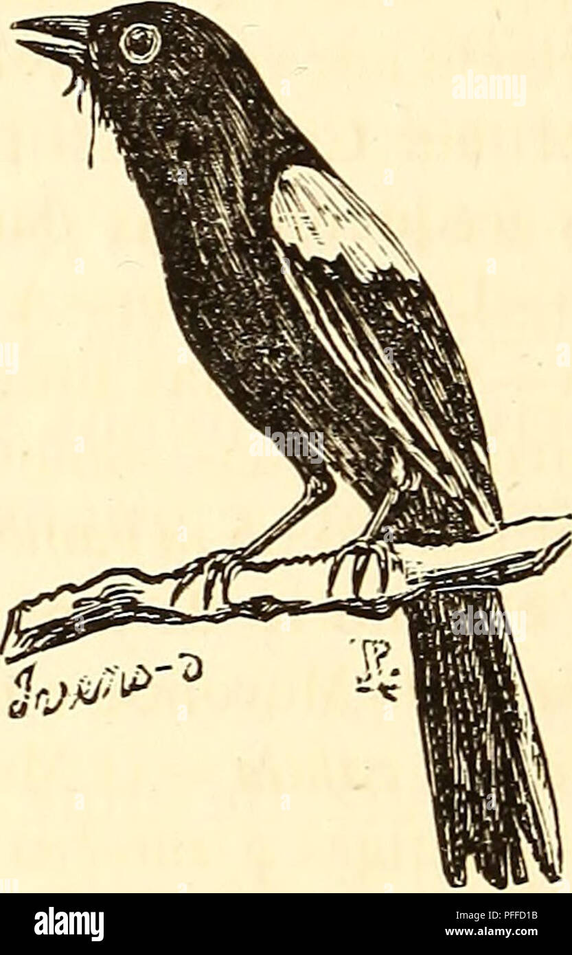 Cubatas hi-res stock photography and images - Alamy