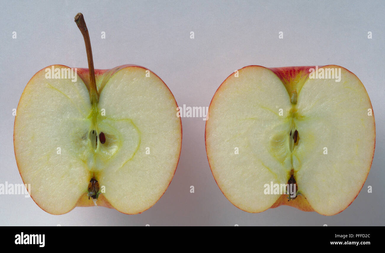 Two horizontal halves hi-res stock photography and images - Alamy