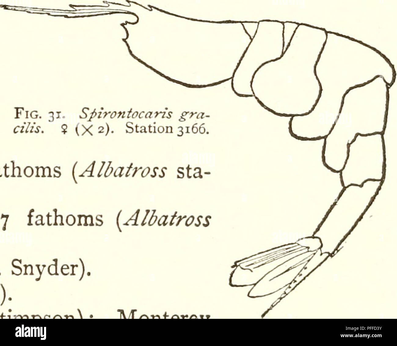 . Decapod crustaceans of the northwest coast of North America ...