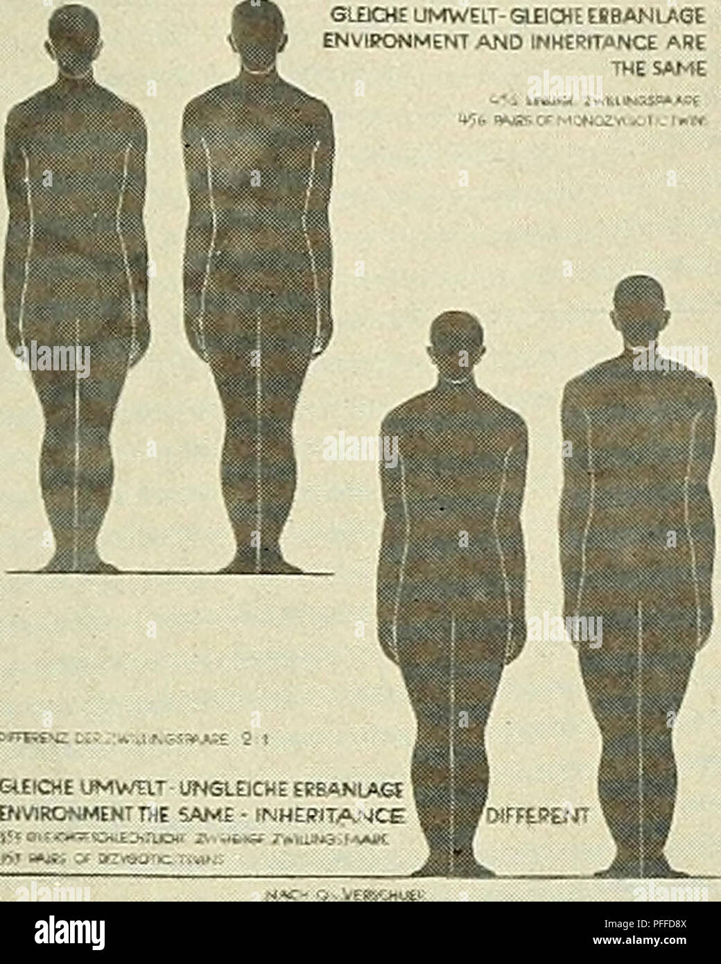 . A decade of progress in eugenics; scientific papers of the third ...