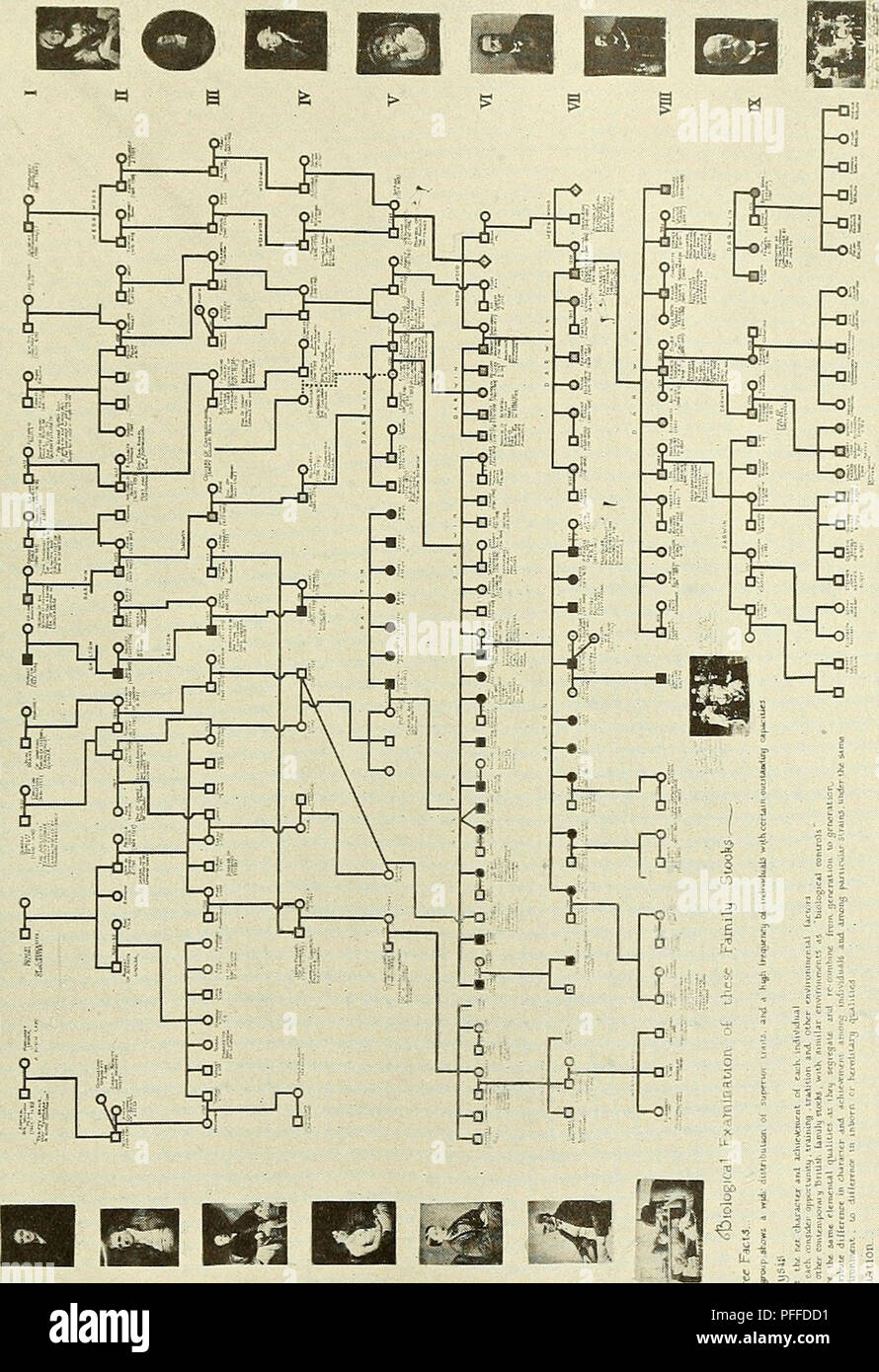 A Decade of Progress in Eugenics by H.F. Perkins - alertwes