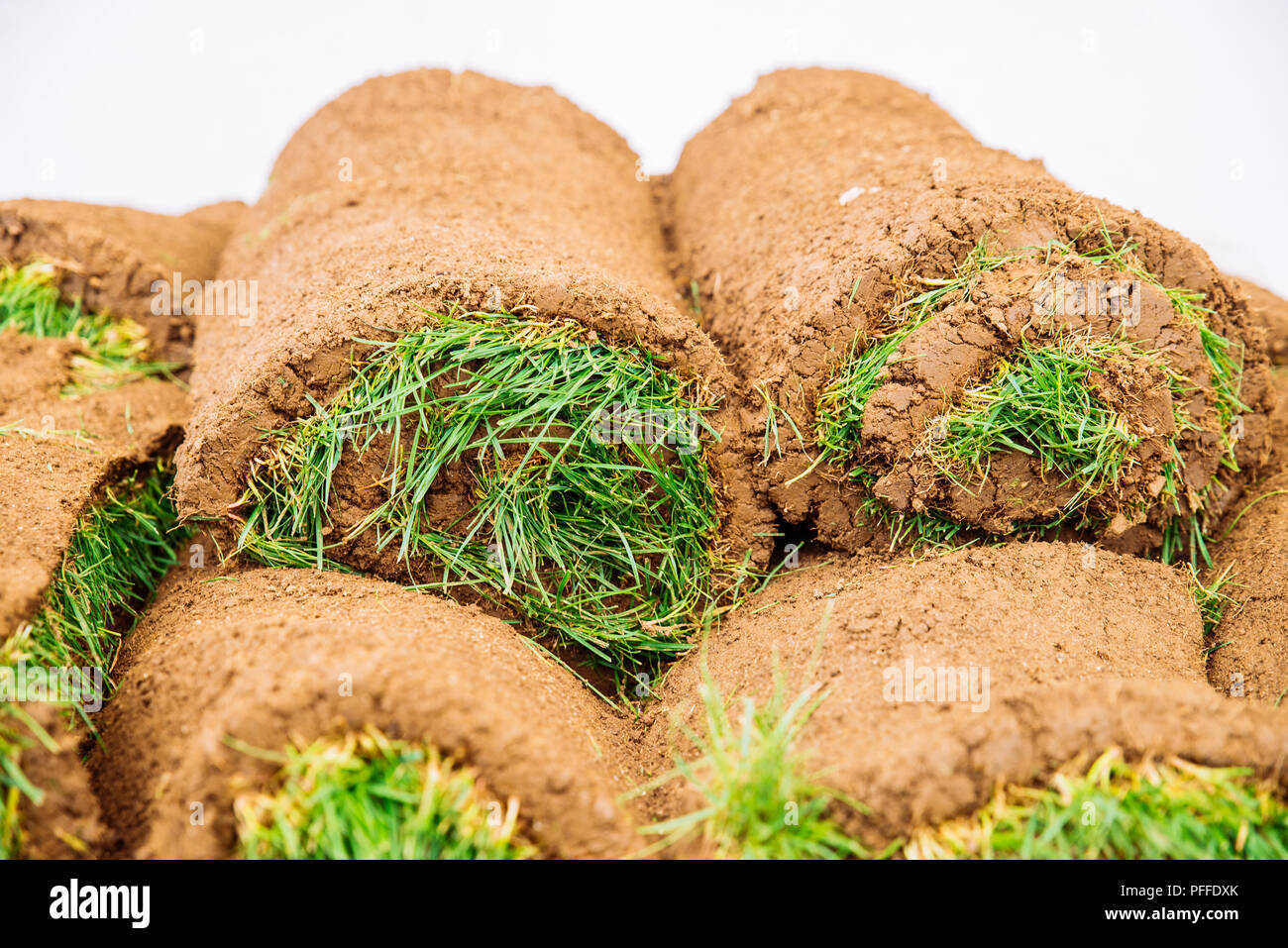 Unrolling laying rolls hi-res stock photography and images - Alamy