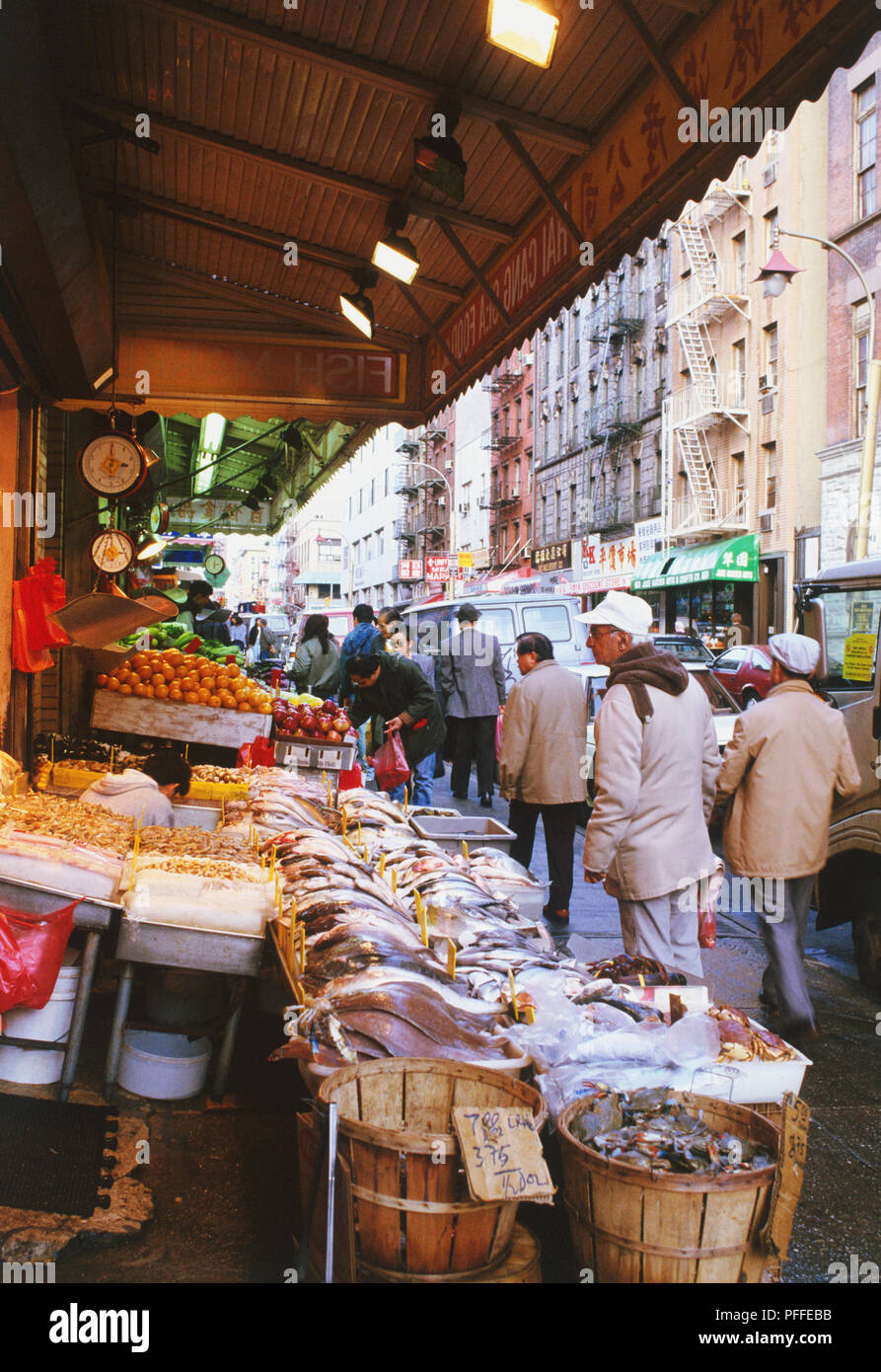 New york fish hi-res stock photography and images - Alamy