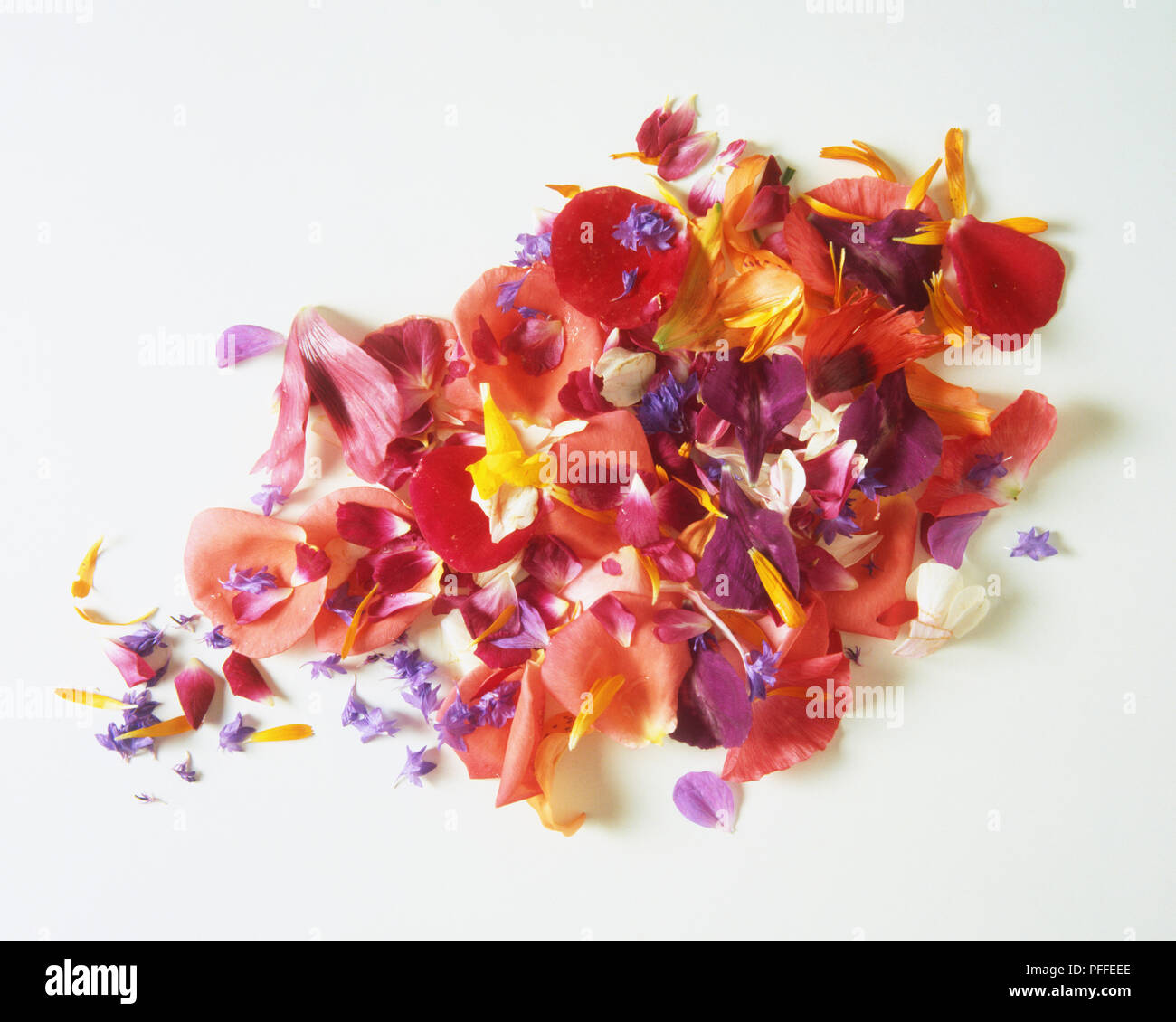 Mixture of colourful flower petals Stock Photo - Alamy