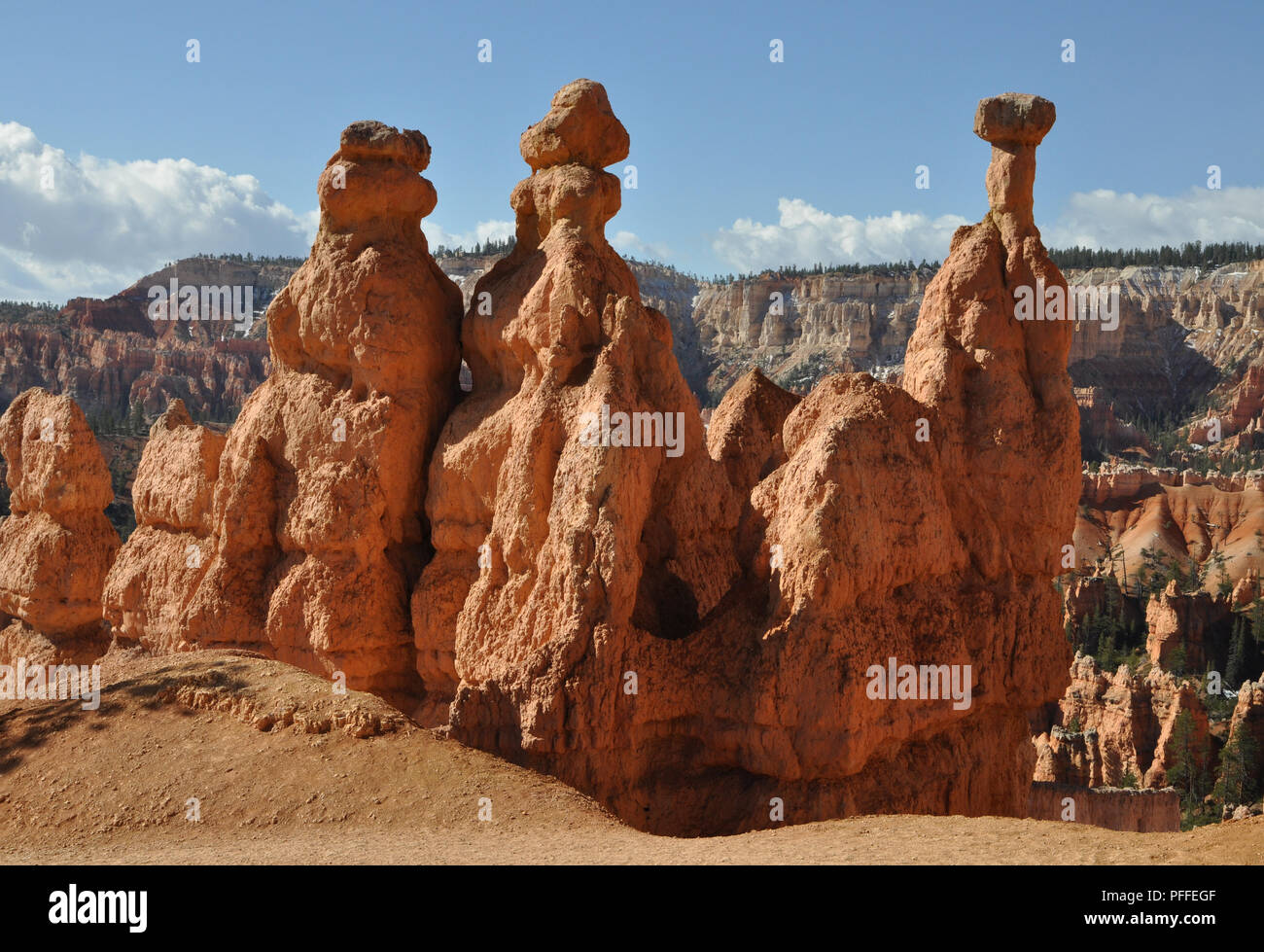 Bryce Canyon, Hoodoos, Utah, USA, Rock Pillars, Bizarre Shapes ...