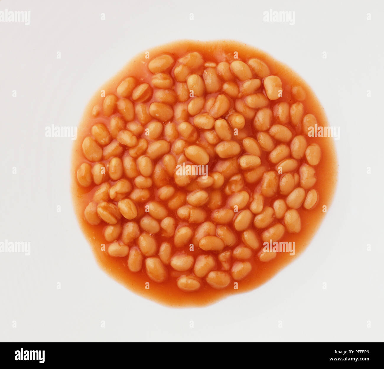 Baked beans on white plate, overhead view Stock Photo - Alamy