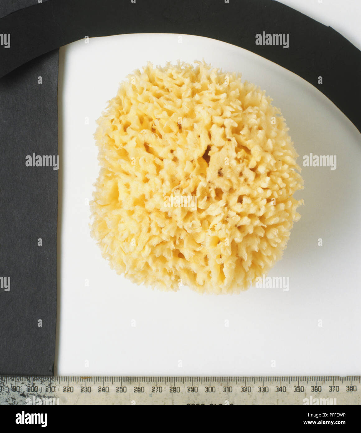 Rounded body shape hi-res stock photography and images - Alamy