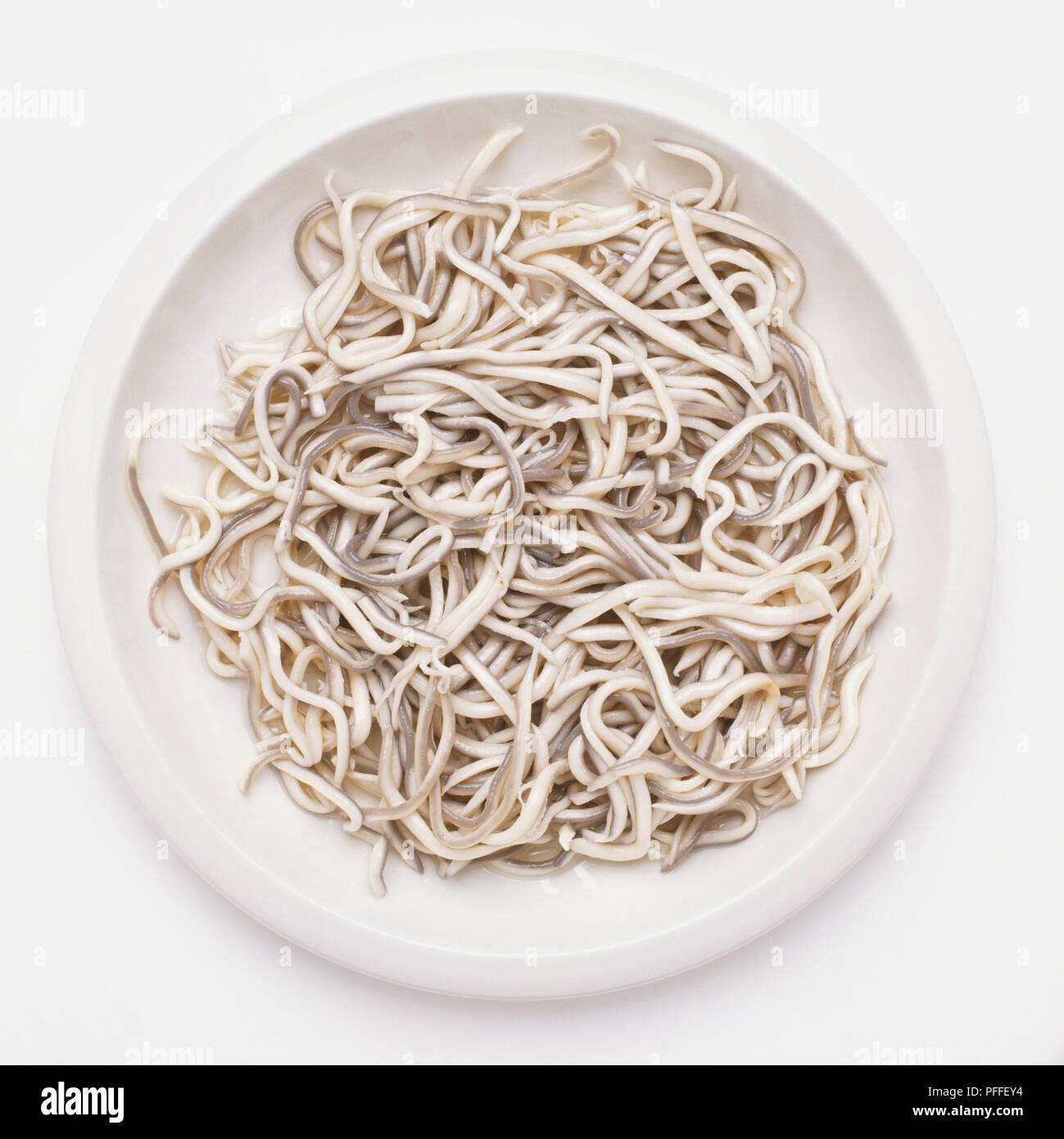 Elvers hi-res stock photography and images - Alamy