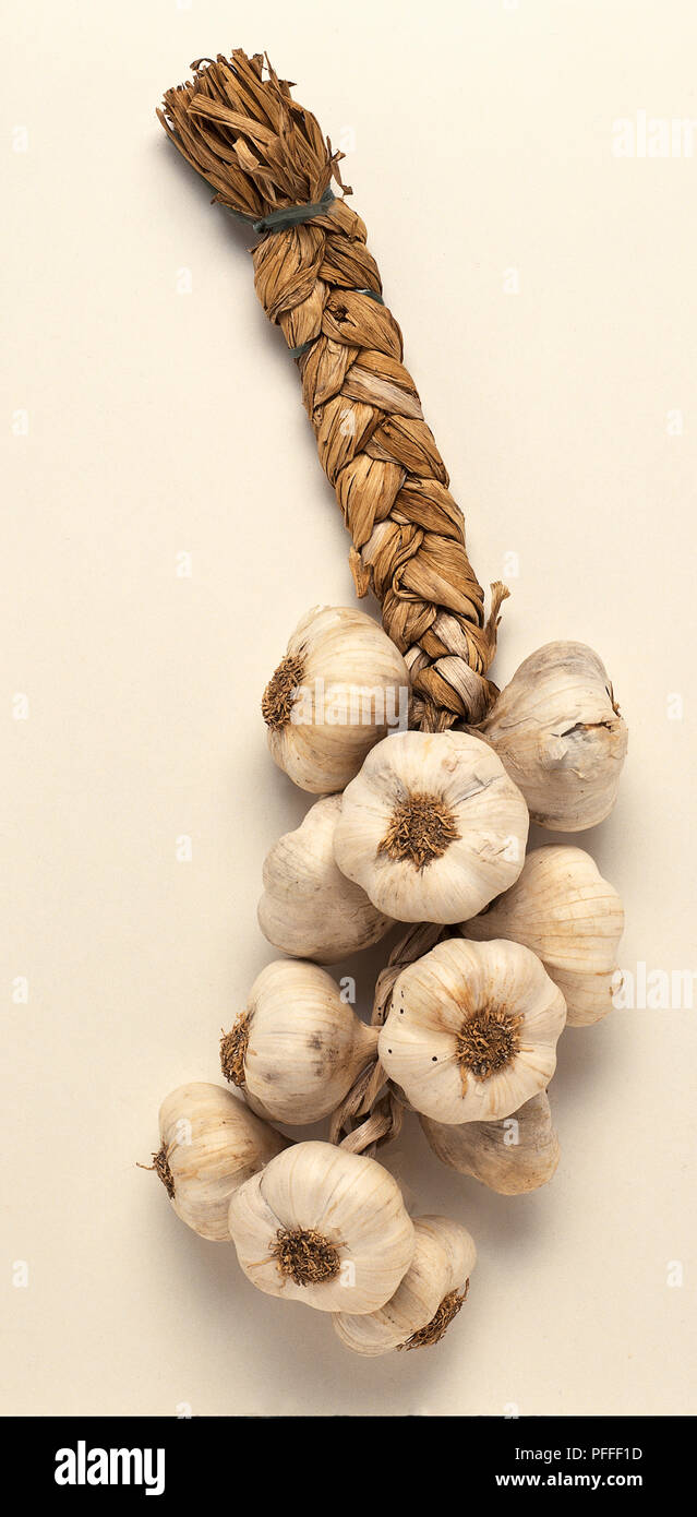 String of Garlic Stock Photo - Alamy