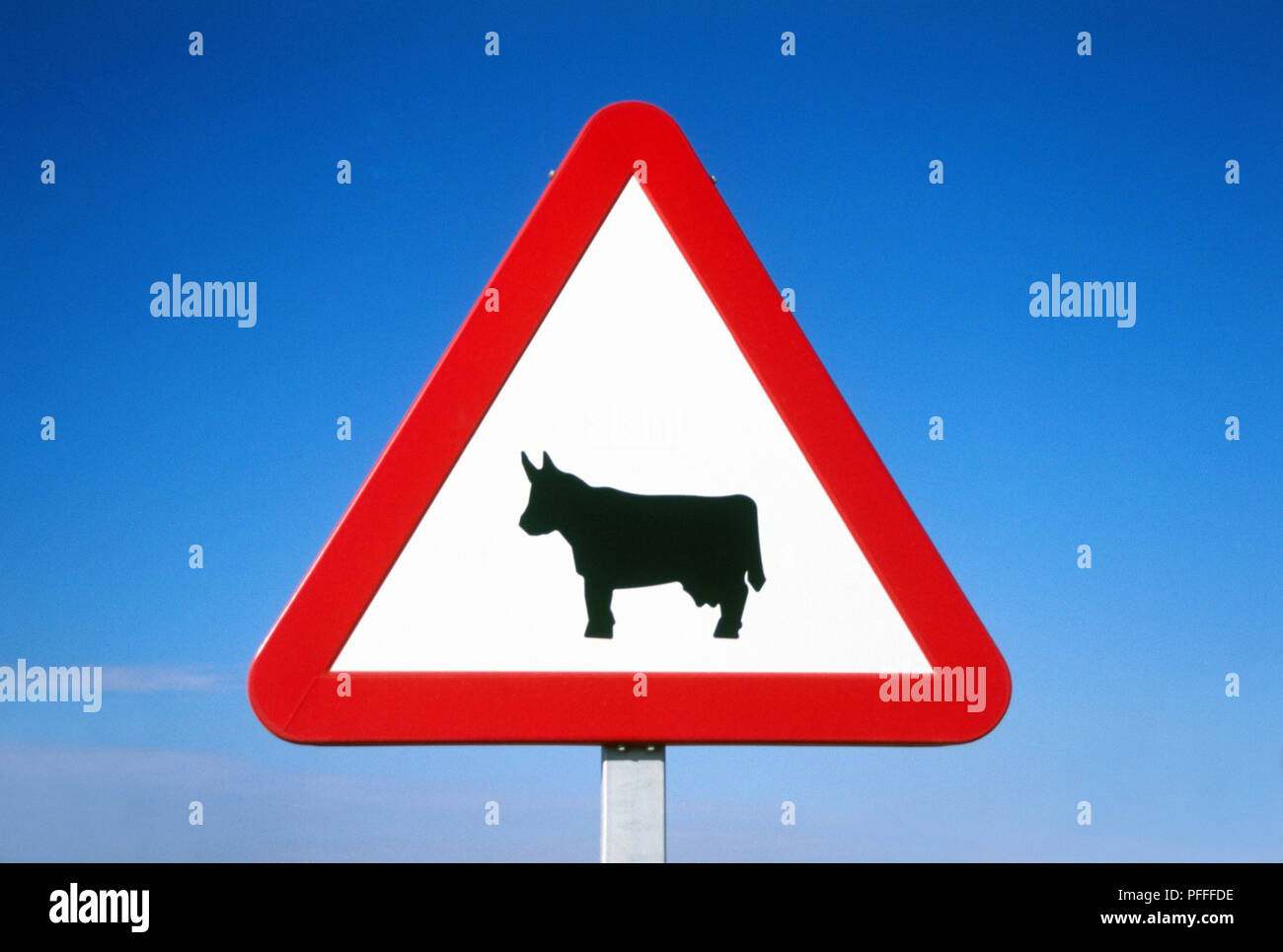 Spain, warning sign 'bulls on road' Stock Photo - Alamy