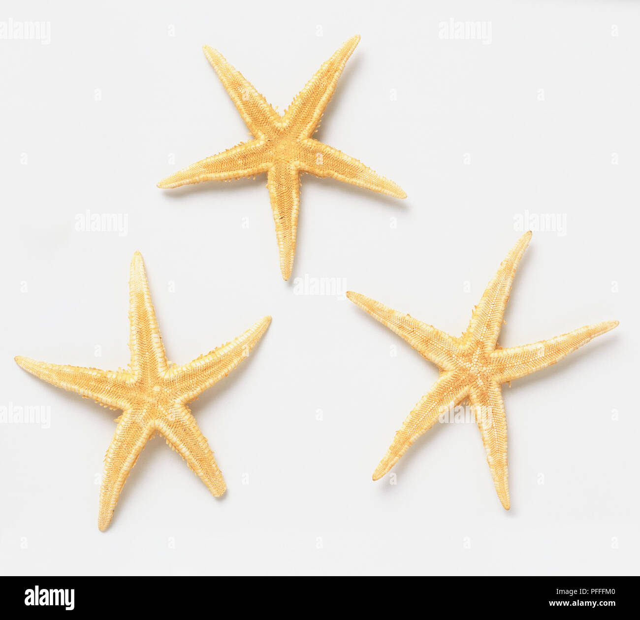 Three star fish Stock Photo - Alamy