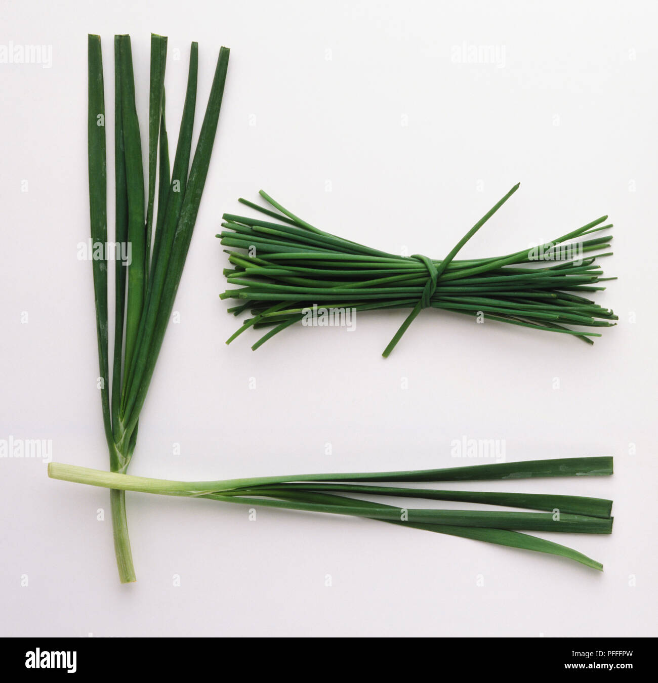 Allium tuberosum, above view of two stalks of fresh green chinese ...