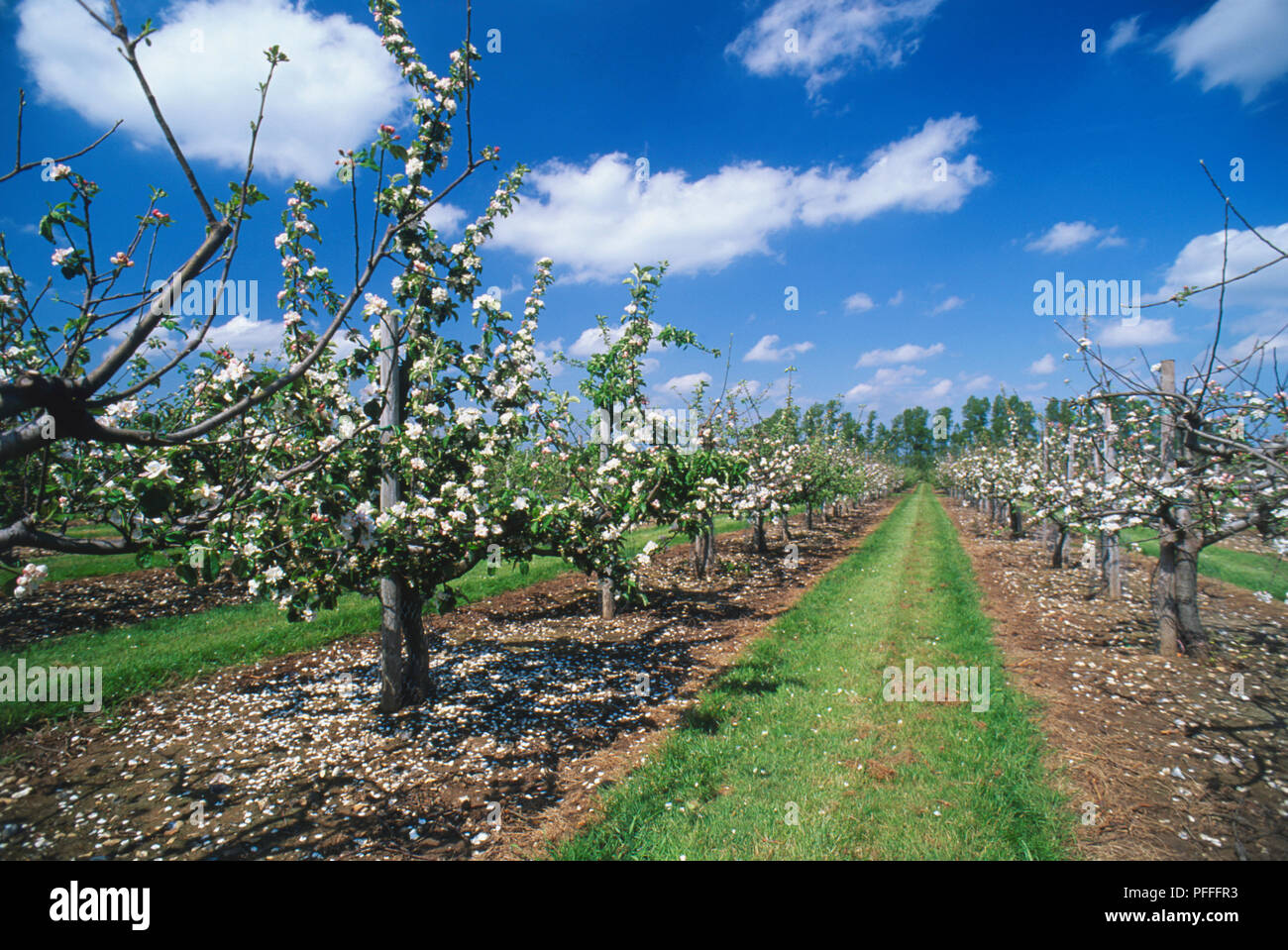 Kent farming hi-res stock photography and images - Alamy