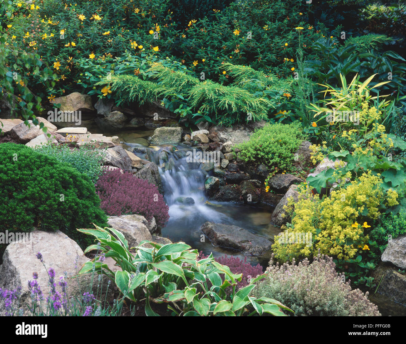 Water garden, waterfall framed by rocks and low-growing plants Stock ...