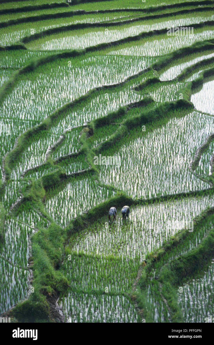 Batagram hi-res stock photography and images - Alamy