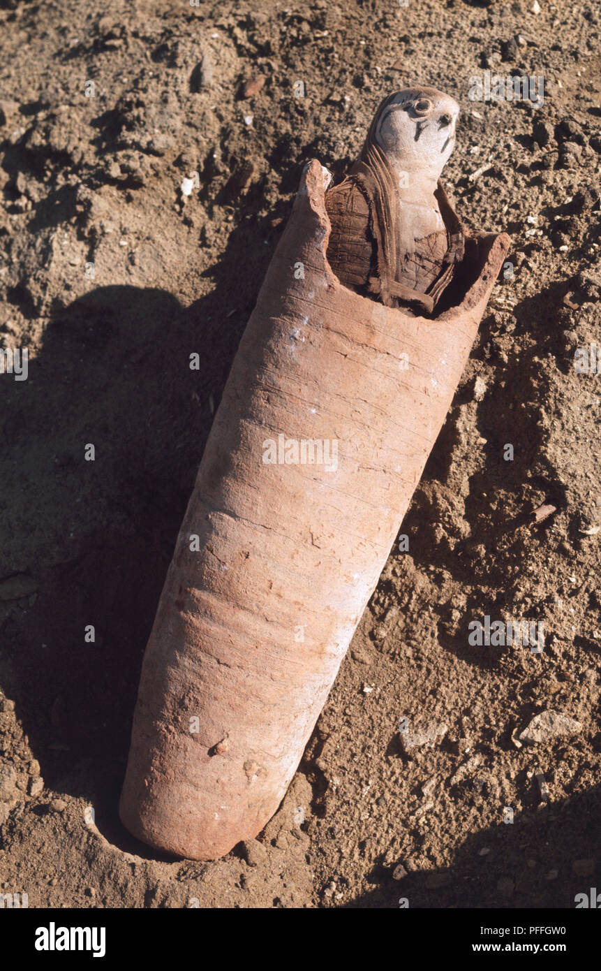 Mummification mummified hi-res stock photography and images - Alamy