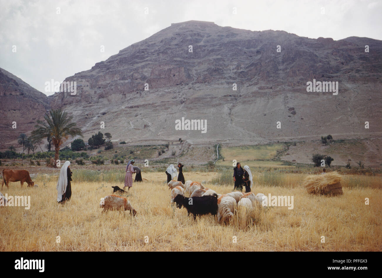 Mount temptation israel hi-res stock photography and images - Alamy