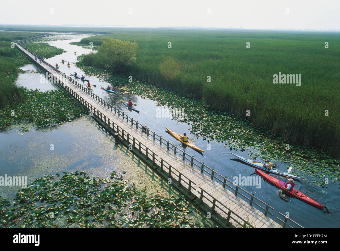 Canada, Ontario, Point Pelee National Park, long line of canoeists ...