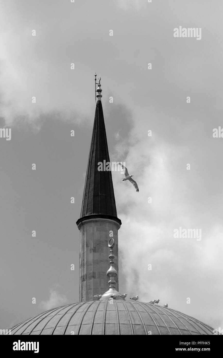 Mosque and bird hi-res stock photography and images - Alamy