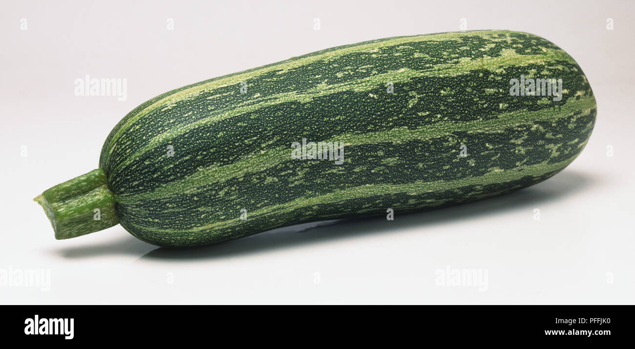 Cucurbita pepo, raw Marrow, side view Stock Photo - Alamy
