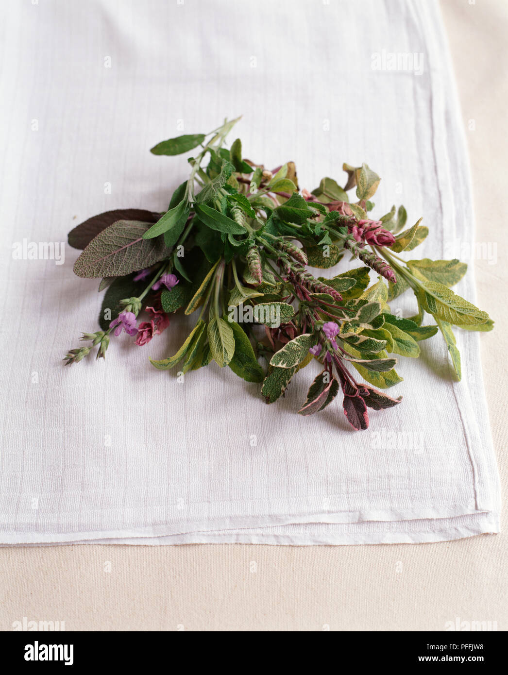 Bundle of loose fresh herbs lying on muslin, rosemary, sage, thyme ...