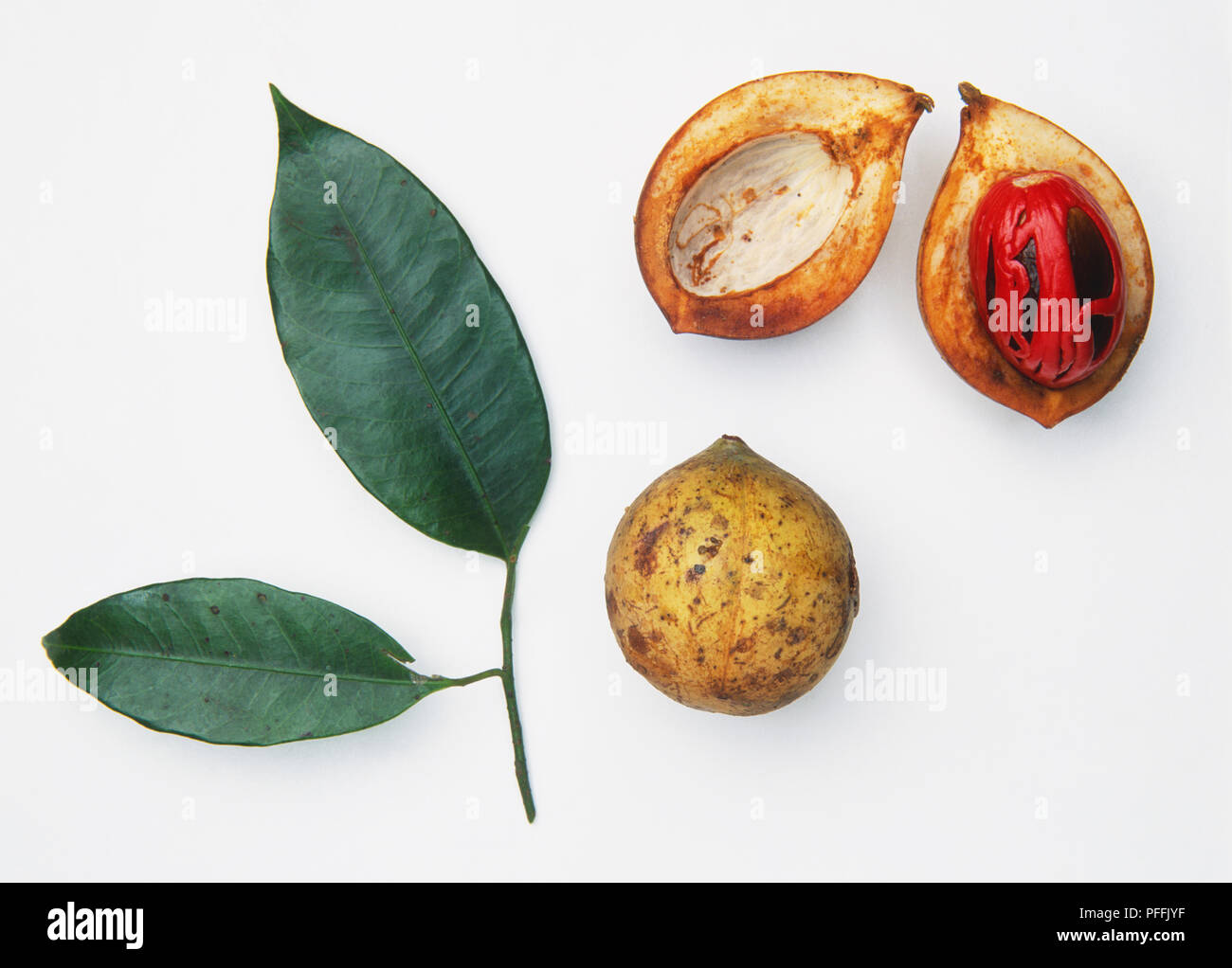 Fruit enclosed by leaves hi-res stock photography and images - Alamy