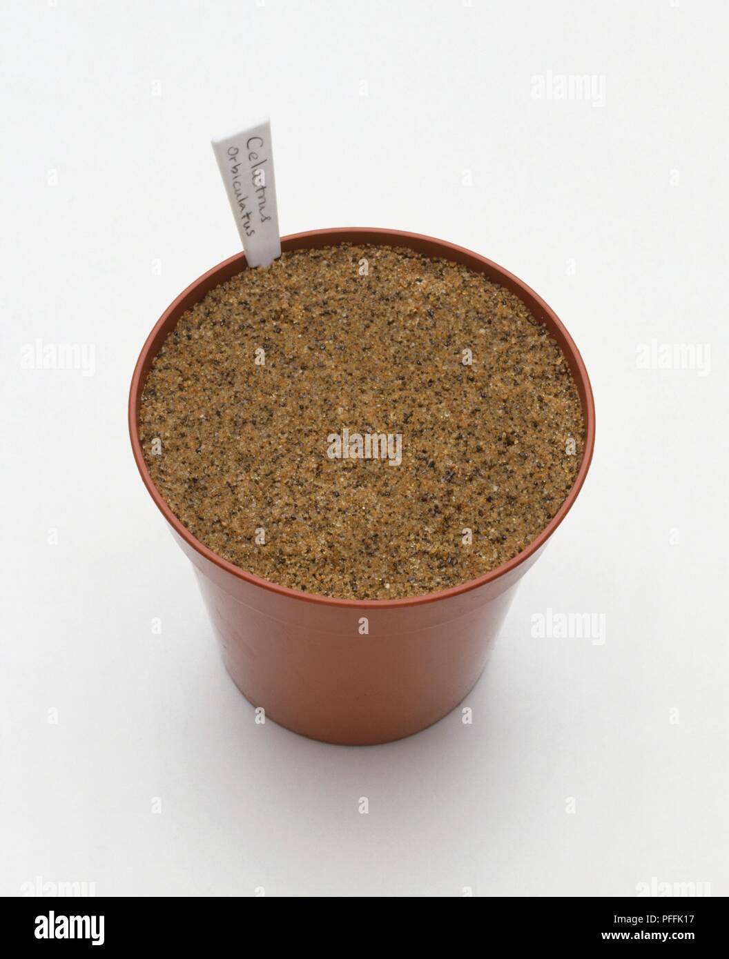 Gardening label hi-res stock photography and images - Alamy