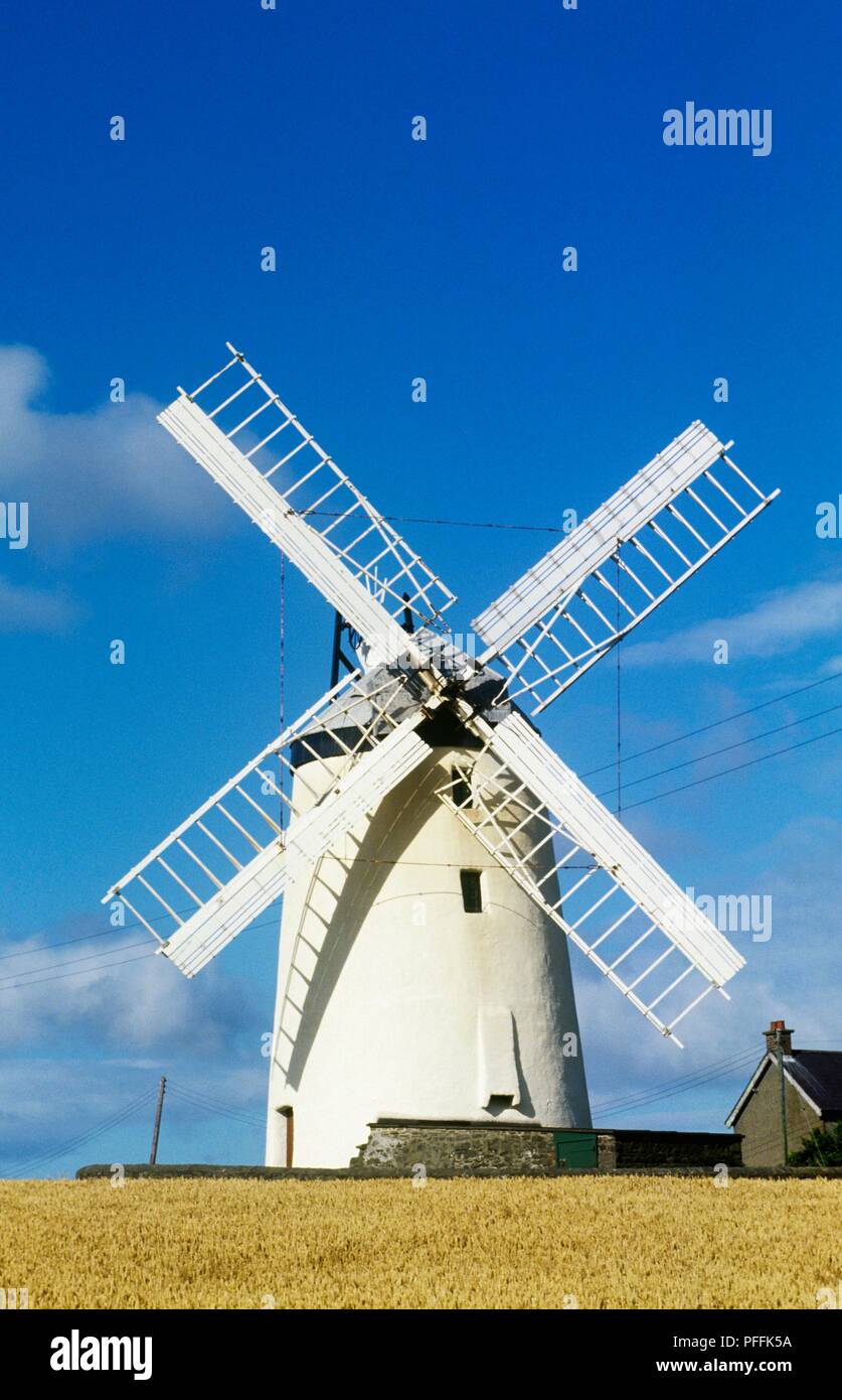 Northern Ireland, County Down, Ards Peninsula, Ballycopeland Windmill ...