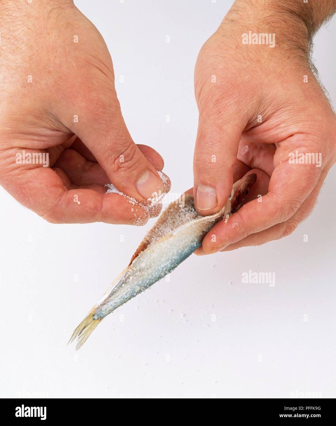 Using fingers to sprinkle salt inside belly of raw sprat Stock Photo ...