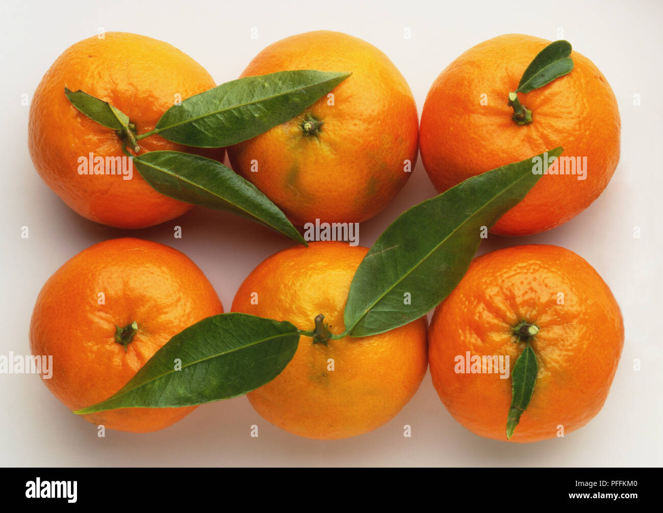 Six round oranges with leaves Stock Photo - Alamy