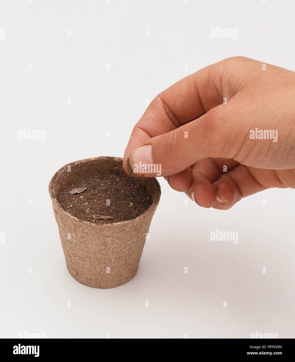 Hand sowing seeds in biodegradable pot, close-up Stock Photo - Alamy