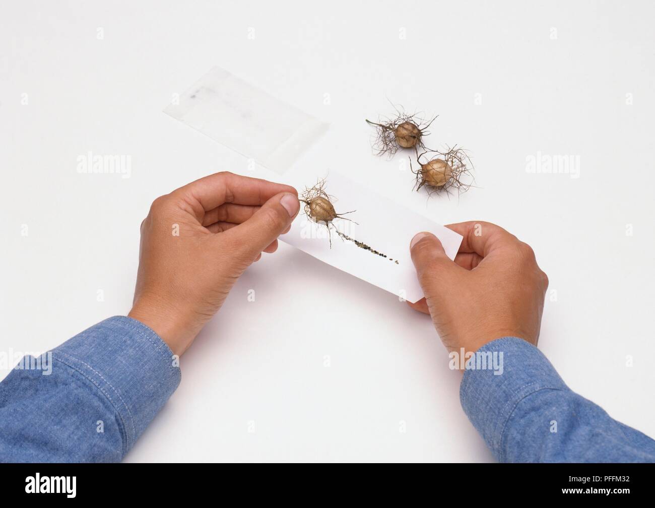 Hand shaking piece paper hi-res stock photography and images - Alamy