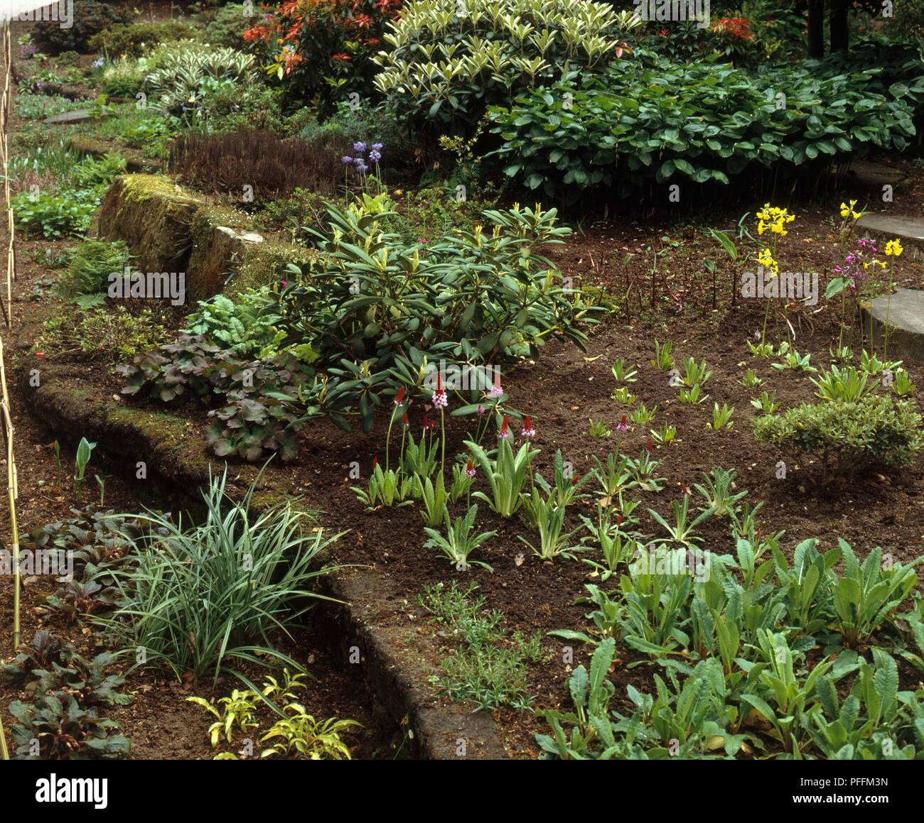 Peat bed hi-res stock photography and images - Alamy