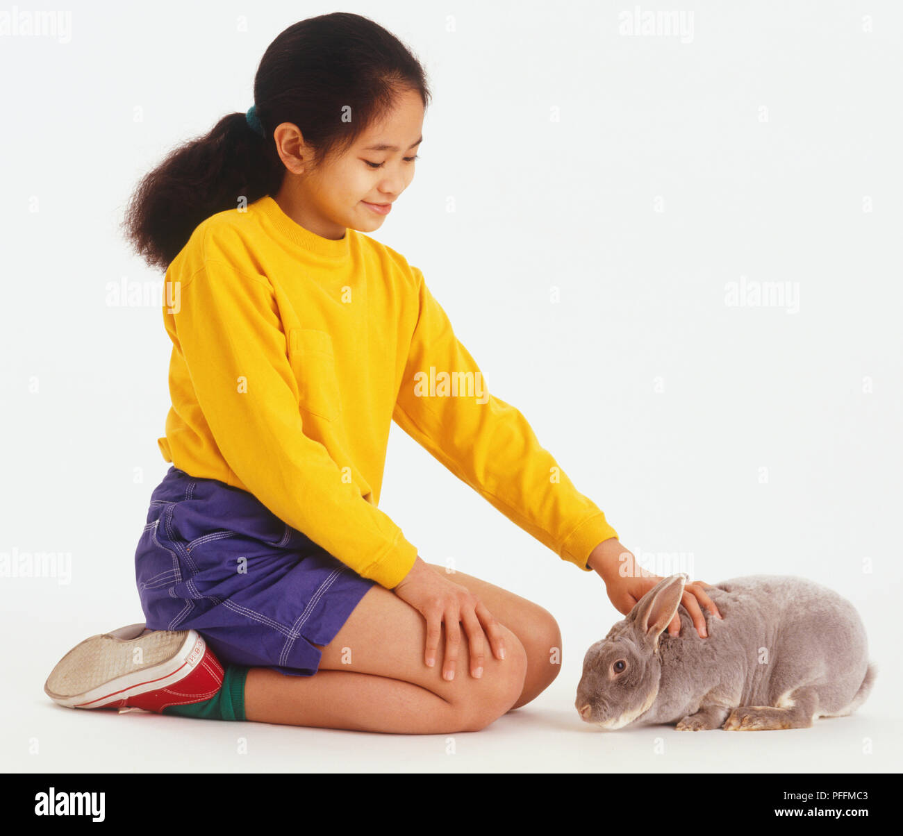 Kneeling girl stroking grey Rabbit (Leporidae), side view Stock Photo ...