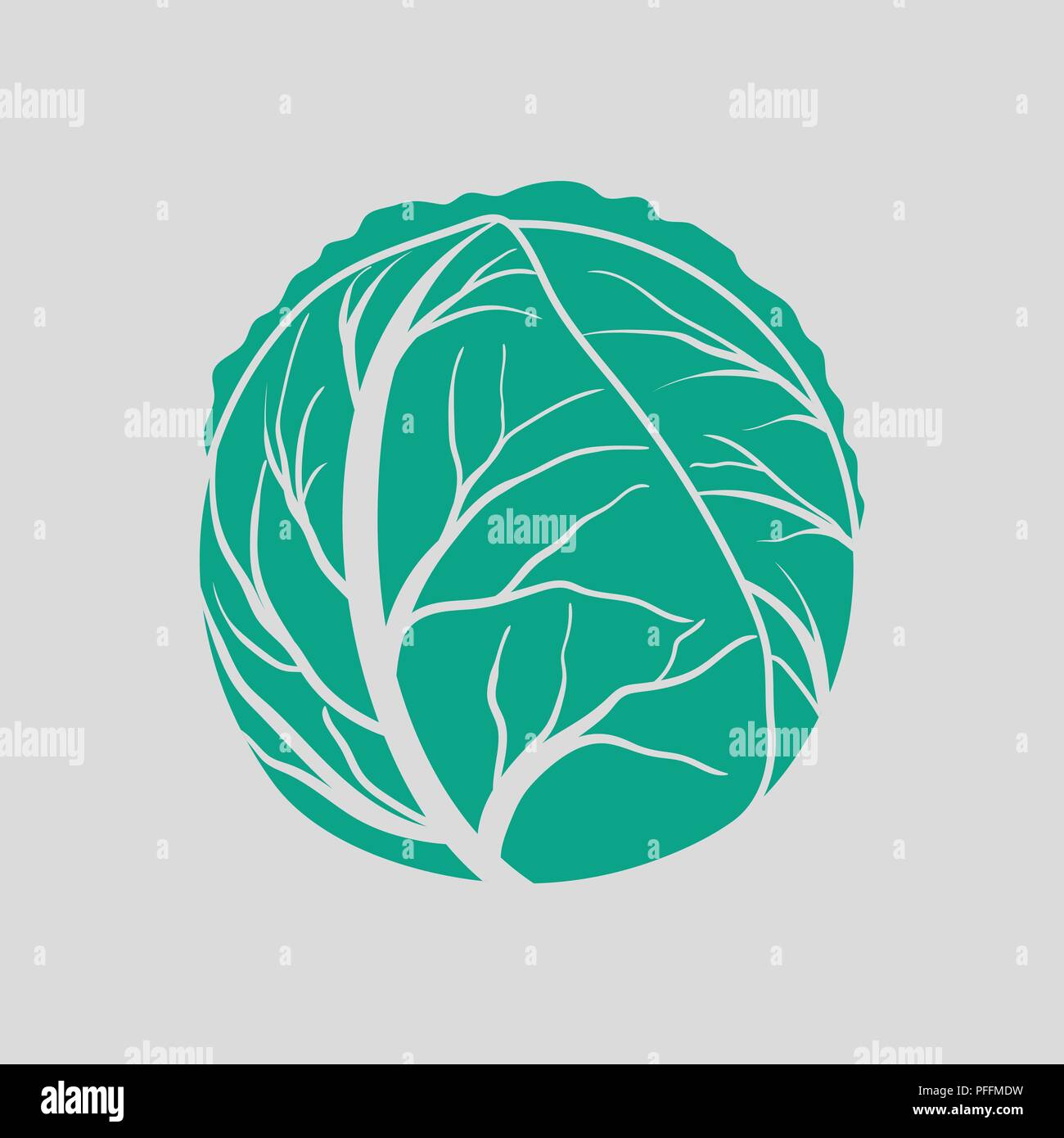 Cabbage icon. Gray background with green. Vector illustration Stock ...