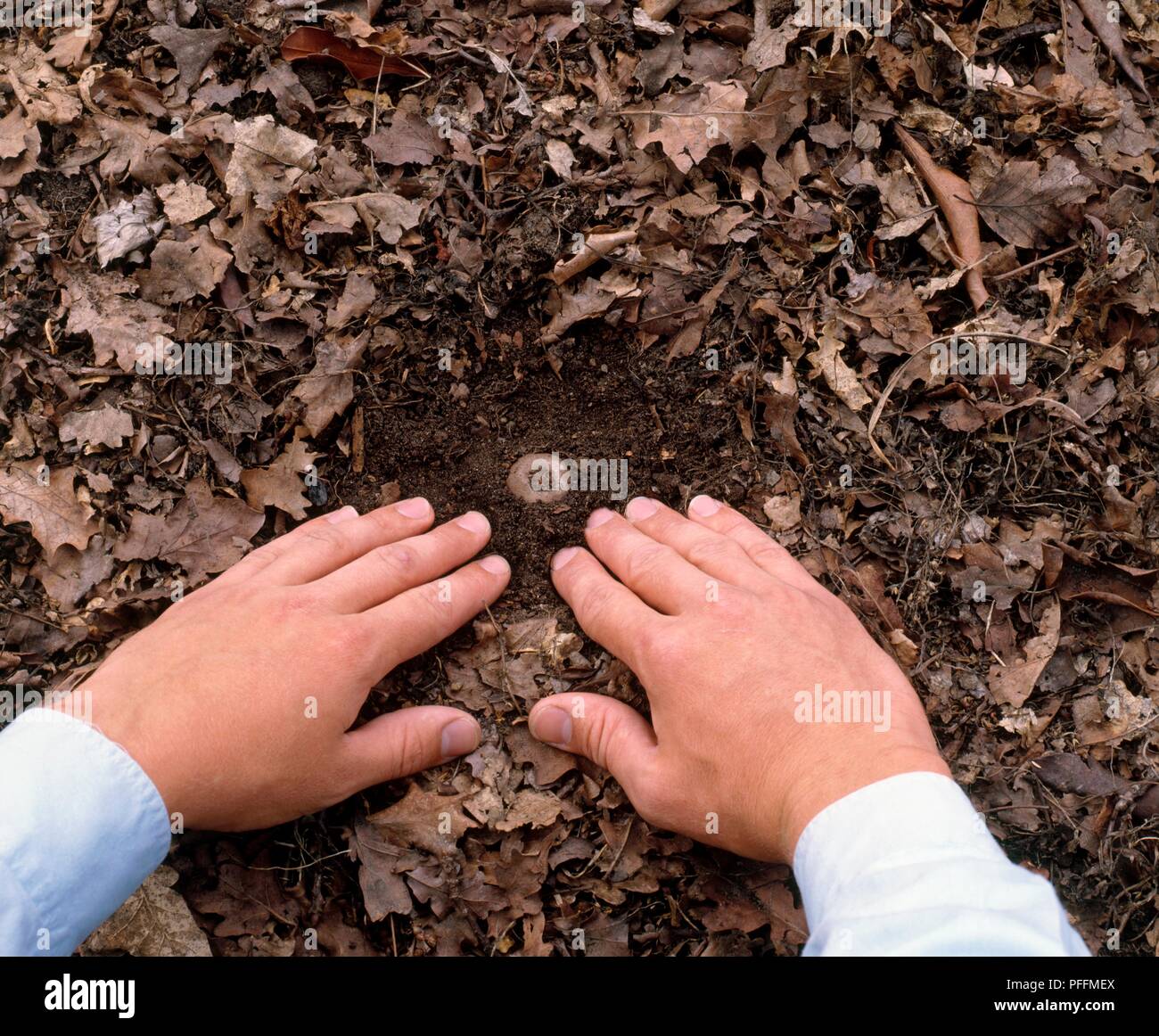 Patting down soil hi-res stock photography and images - Alamy