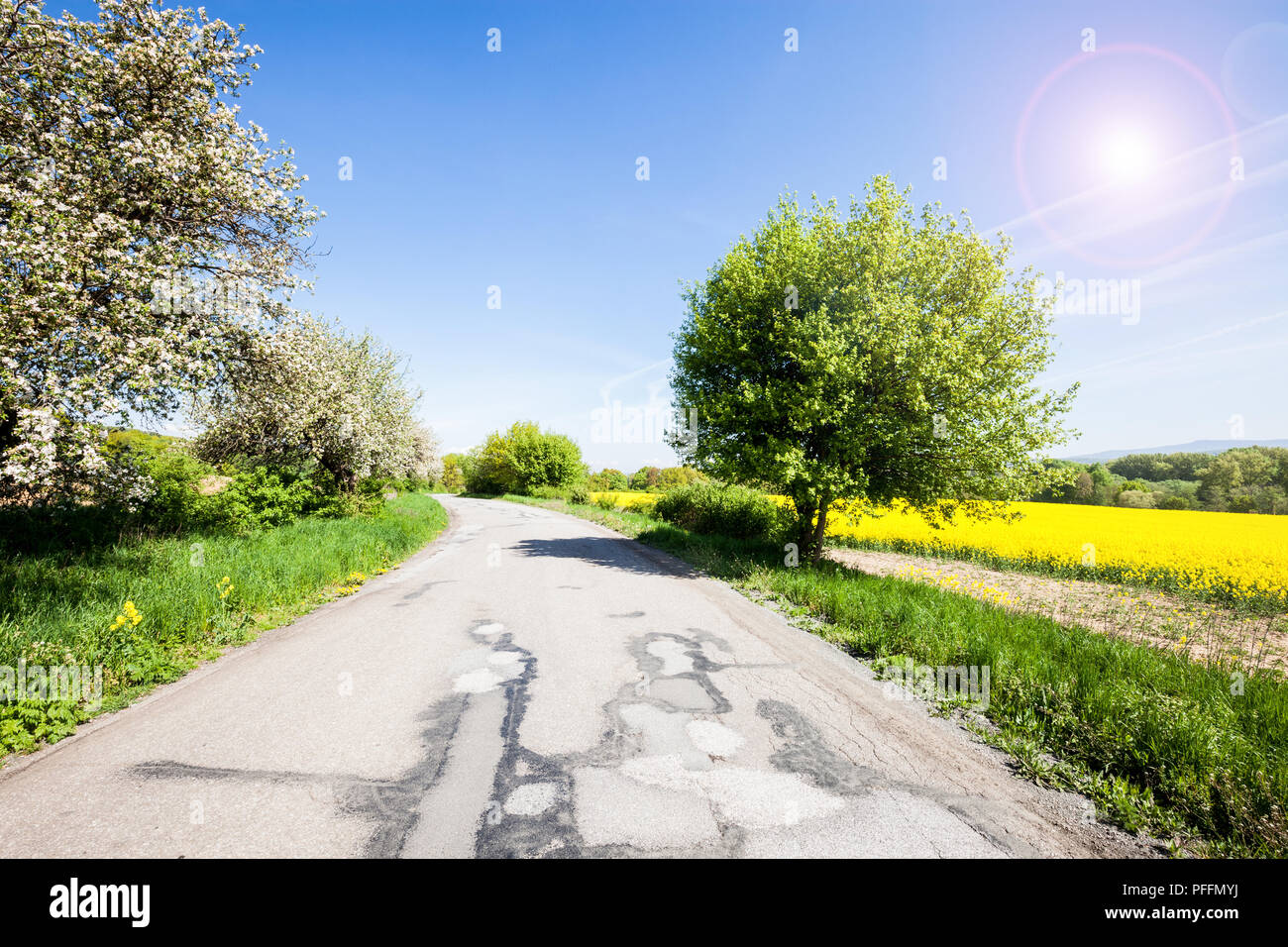 rural asphalt road among the spring sunny field Stock Photo - Alamy