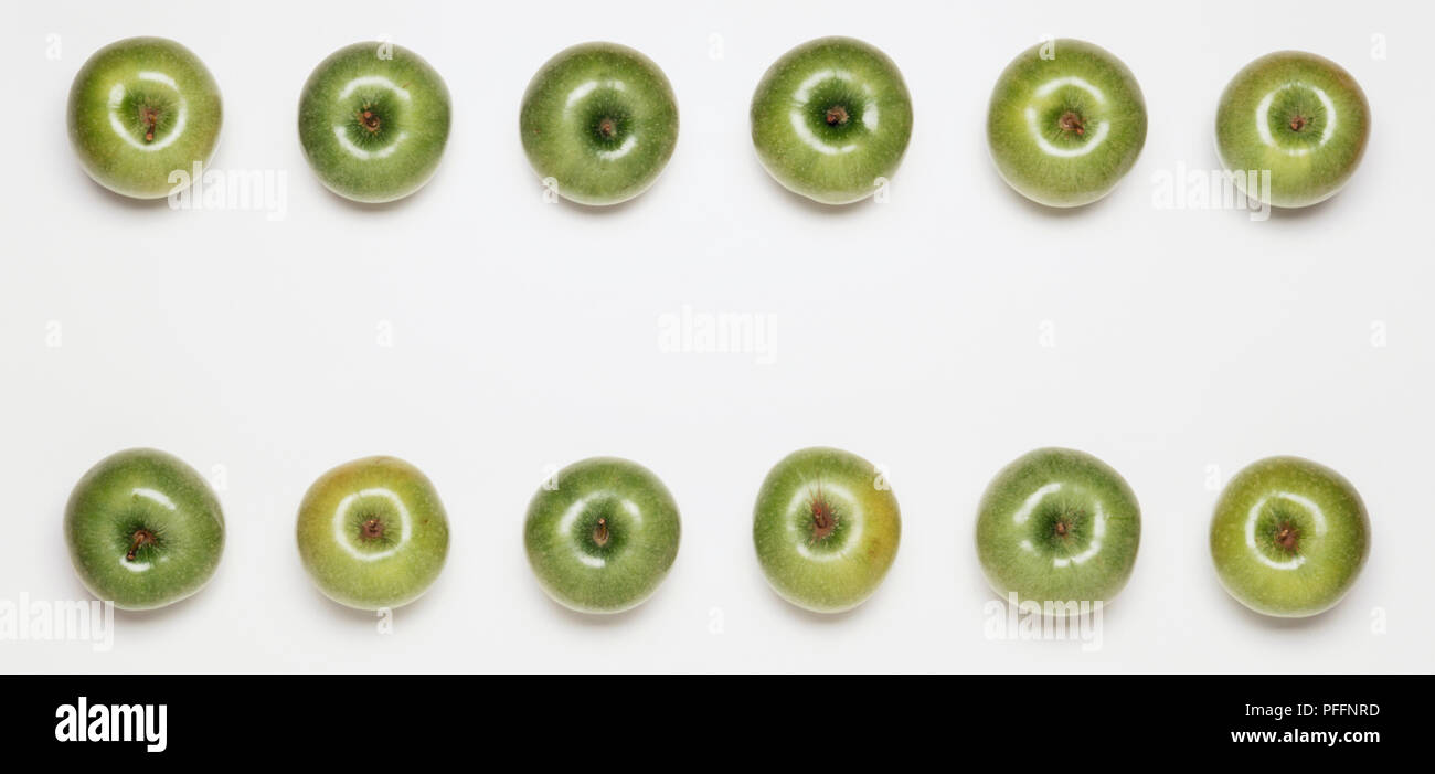 Twelve green apples arranged into two lines, view from above Stock ...