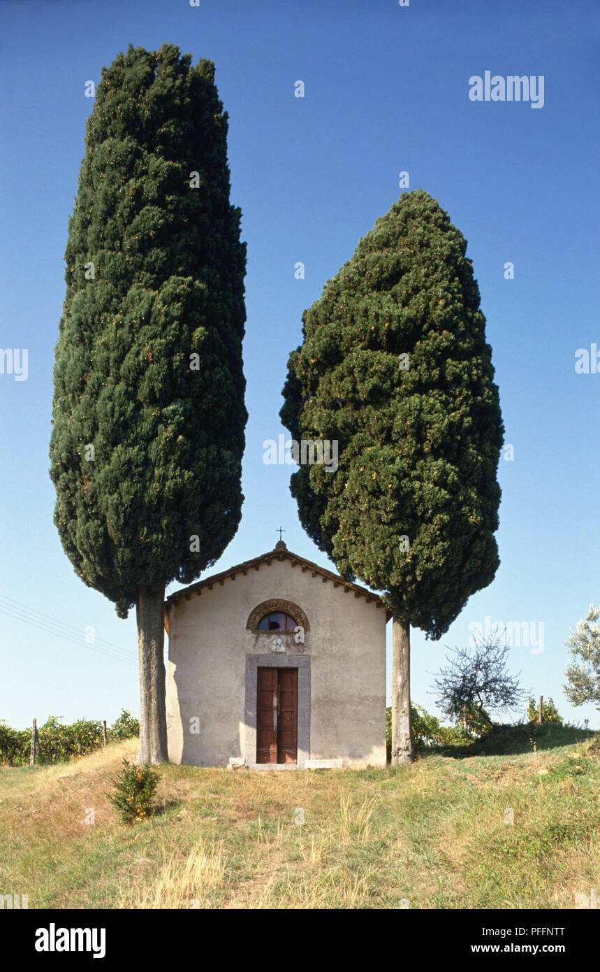 Between two trees hi-res stock photography and images - Alamy