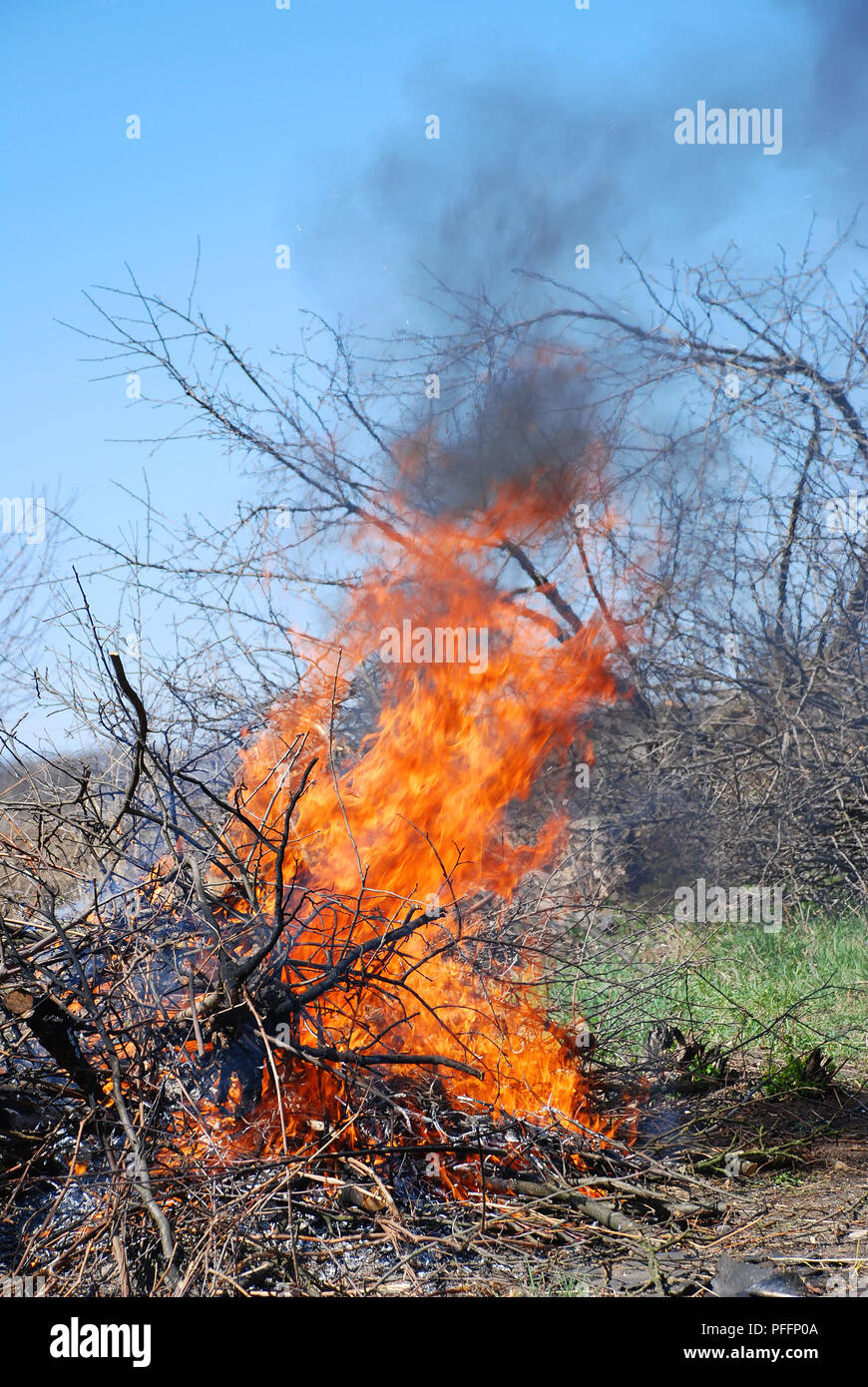 brightly burning bonfire of branches Stock Photo - Alamy