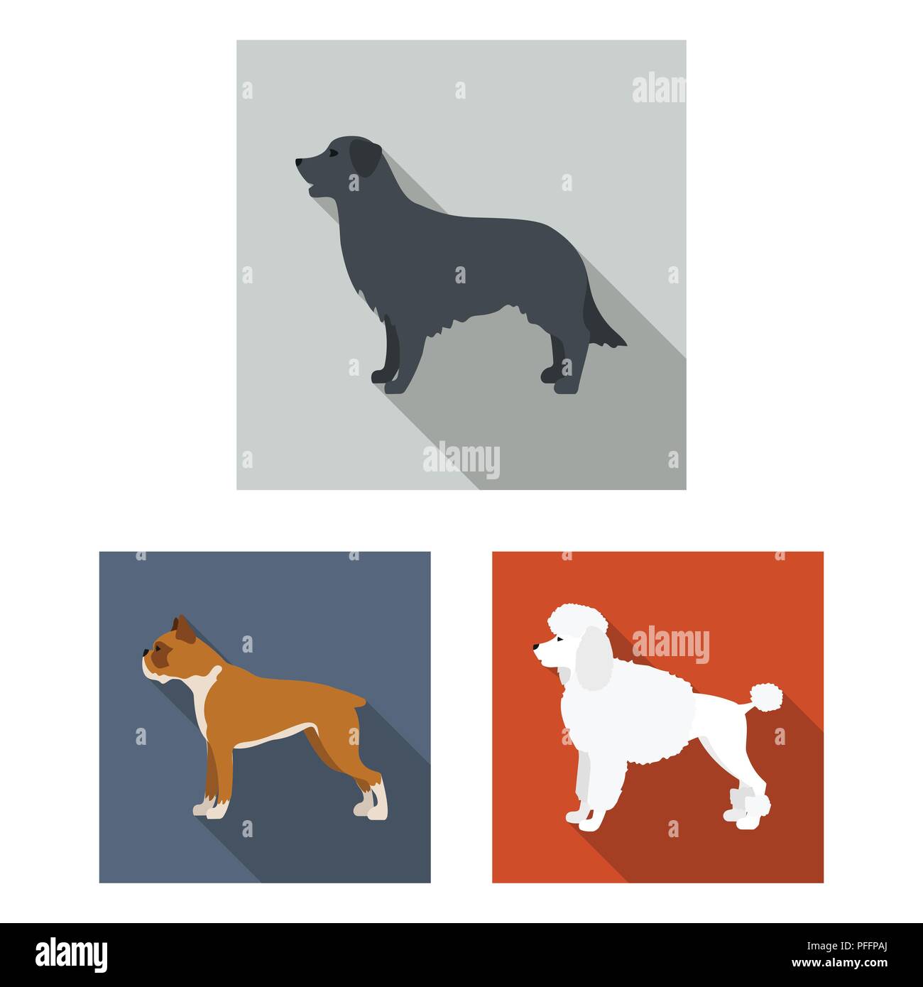 Dog breeds flat icons in set collection for design.Dog pet vector ...