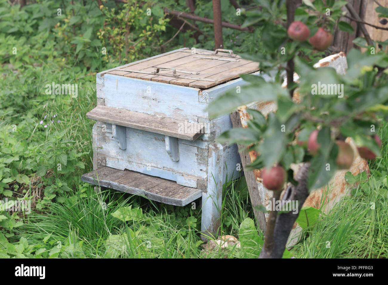 Old fashioned beehive hi-res stock photography and images - Alamy