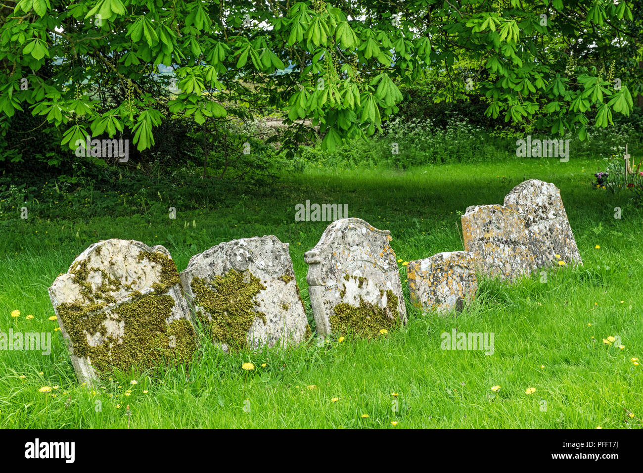 Row or headstones hi-res stock photography and images - Alamy