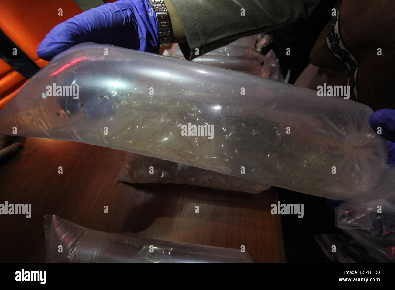 Wildlife poaching and smuggling hi-res stock photography and images - Alamy