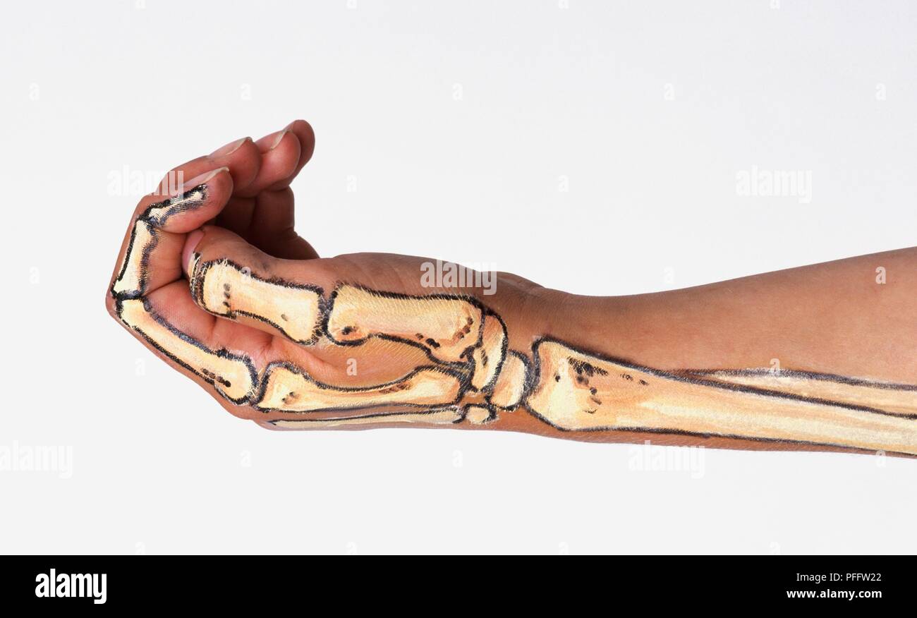 Human Arm Skin