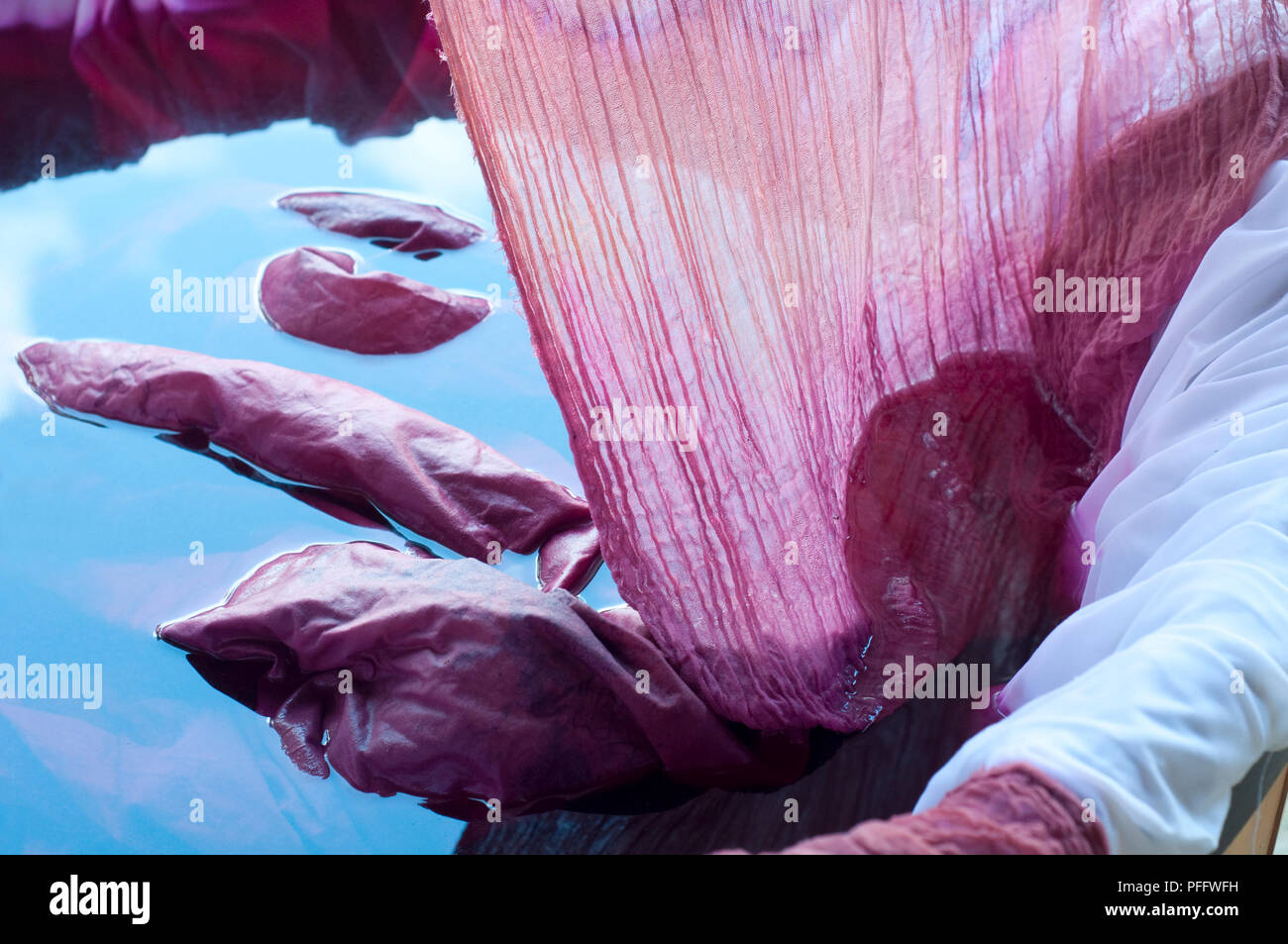 Italy, Lombardy, Historical Reenactment Medieval, Dyeing of Fabrics ...