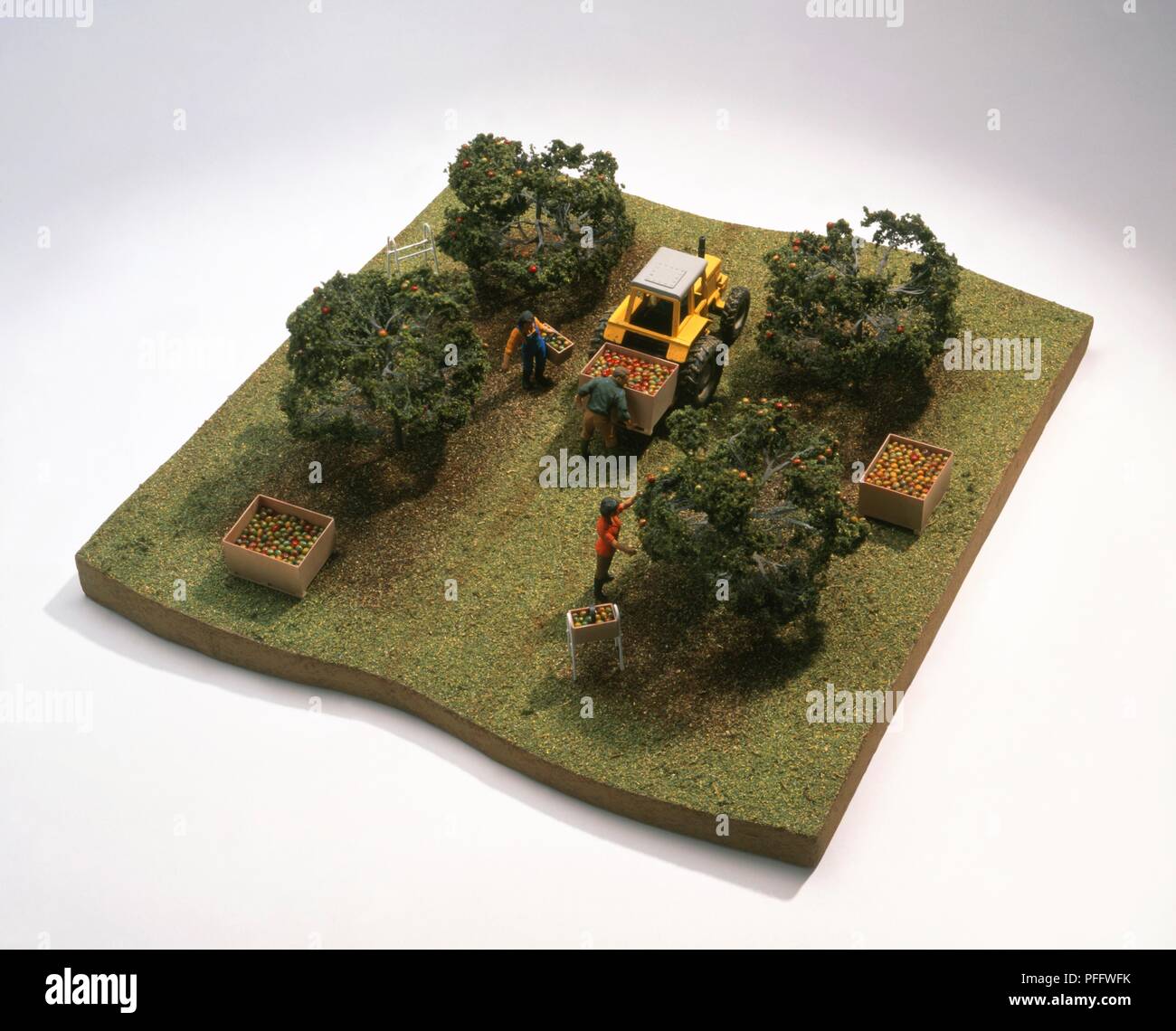 Model showing the harvesting of apples from an orchard Stock Photo - Alamy