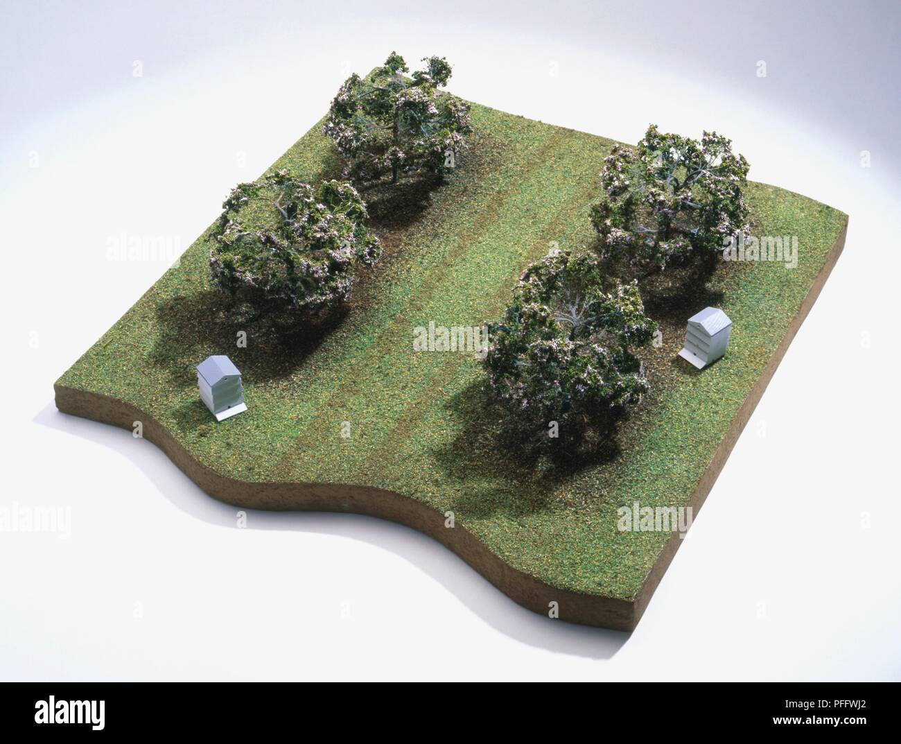 Model of an orchard during spring with beehives Stock Photo - Alamy